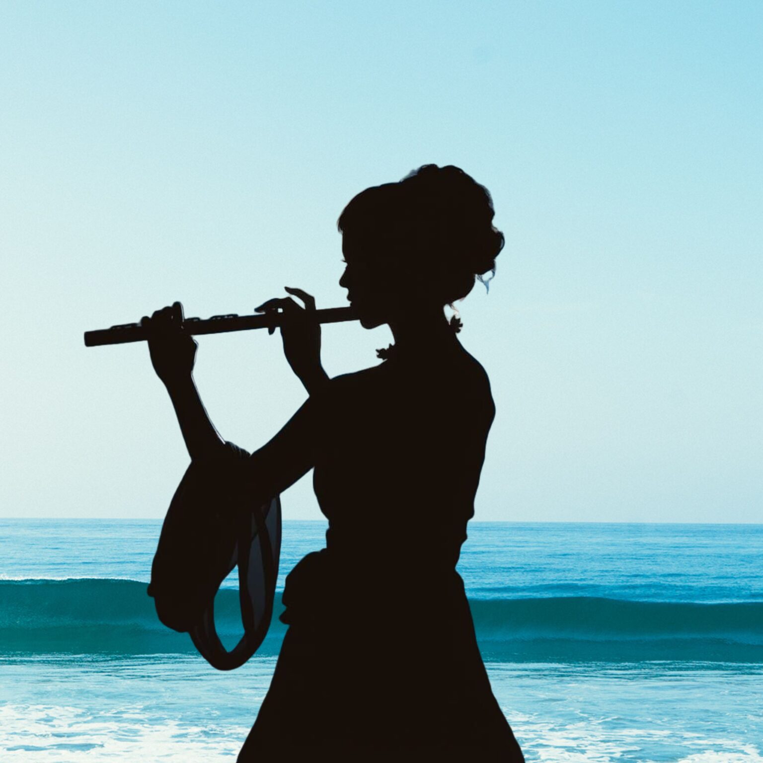 Top 10 Beginner Flute Music Pieces for Aspiring Musicians | The Country ...